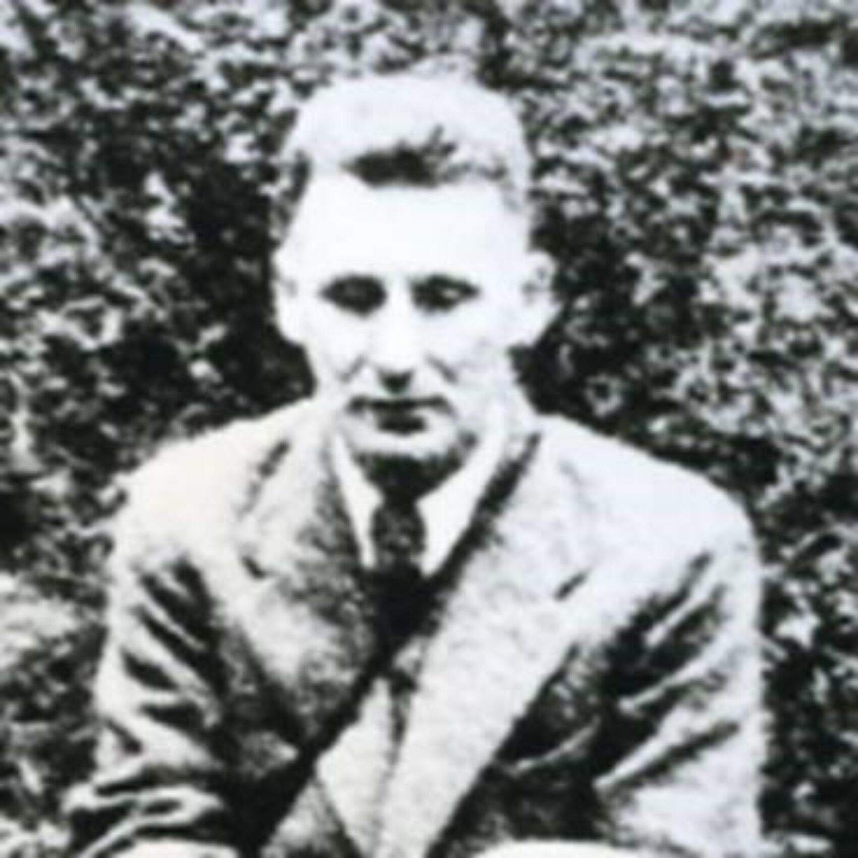 Reflections on Rewi: A Conversation with David Mahon | China Capable ...